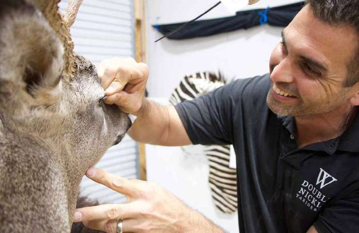 A Guide to Choosing a Taxidermist - North American Outdoorsman