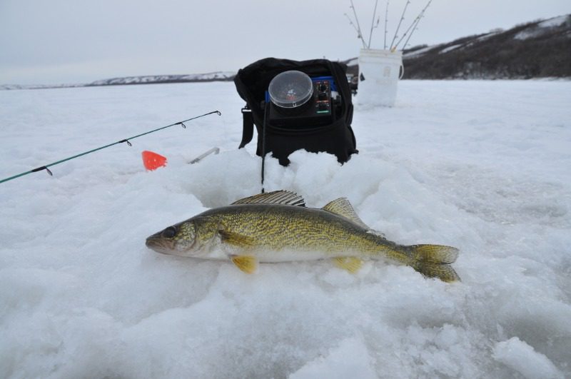 Using a Vexilar Flasher Ice Fishing - North American Outdoorsman