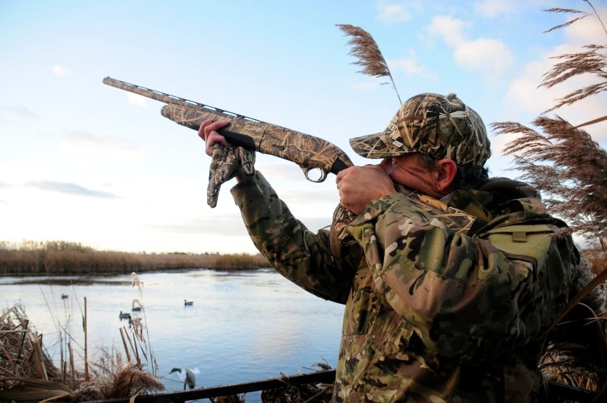 Revisiting the Use of Bismuth Shot Shells - North American Outdoorsman