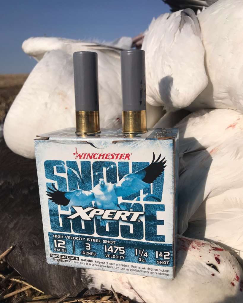 Snow Goose Hunting: Seeding Success - North American Outdoorsman