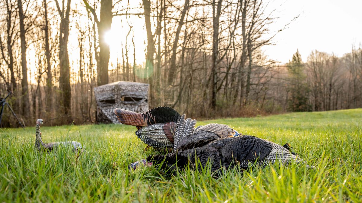 Mossberg’s Patriot and Winchester 400 Legend – Field Tested - North ...