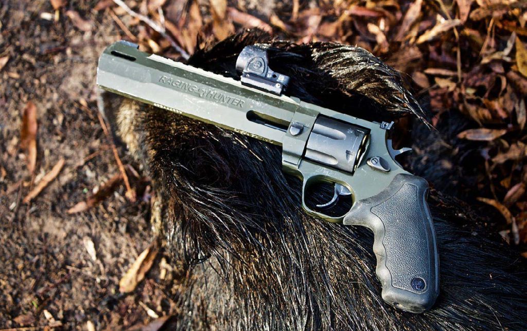 A Fascination with Handgun Hunting - North American Outdoorsman