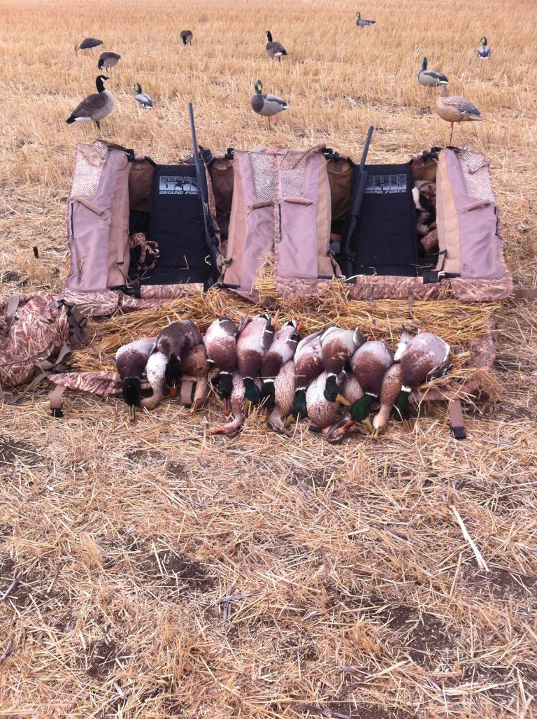 Stubble Field Duck Hunting - North American Outdoorsman