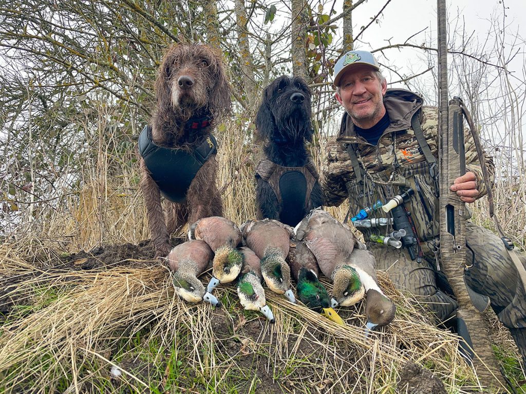 Hunting Dog Training: A Complete Guide for Gun Dog Owners - North ...