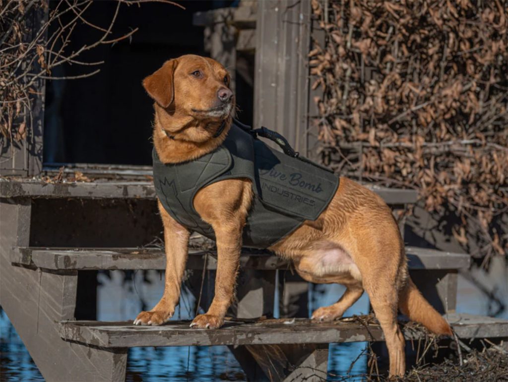 Hunting Dog Training: A Complete Guide for Gun Dog Owners - North ...