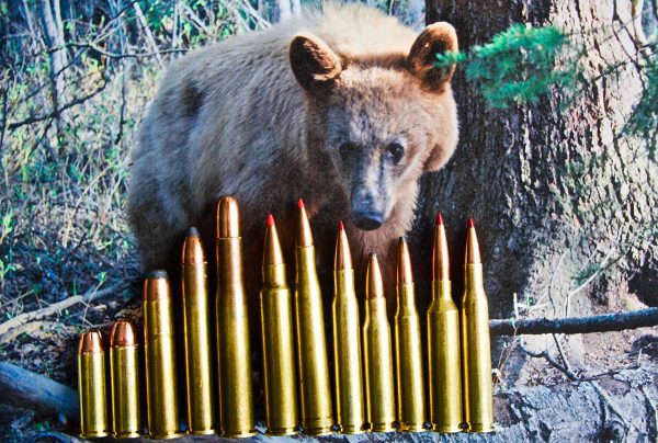 Best Guns for Black, Grizzly and Alaskan Brown Bears - North American ...