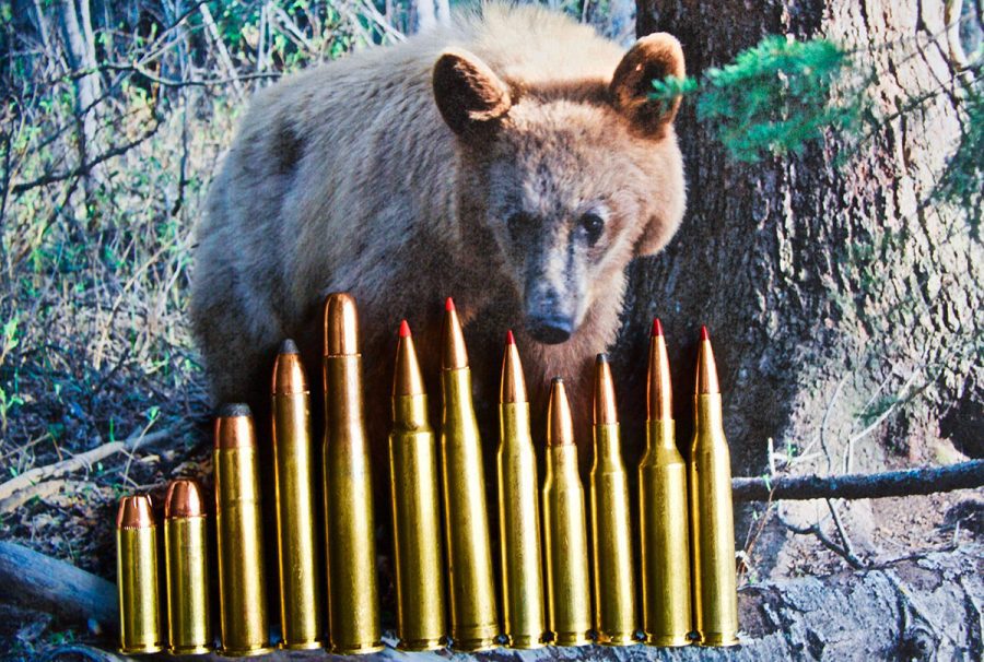Best Guns for Black, Grizzly and Alaskan Brown Bears - North American ...