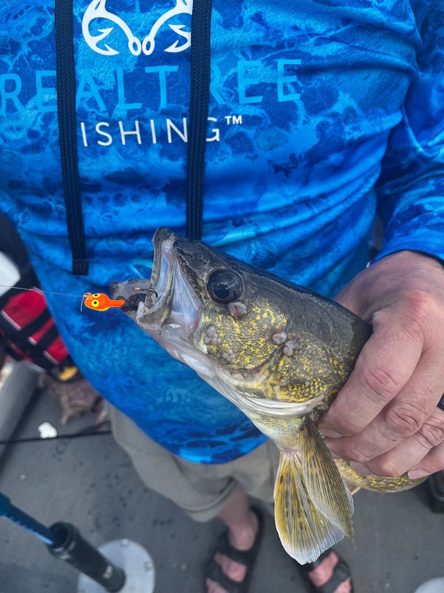 Jigging For Walleye - North American Outdoorsman