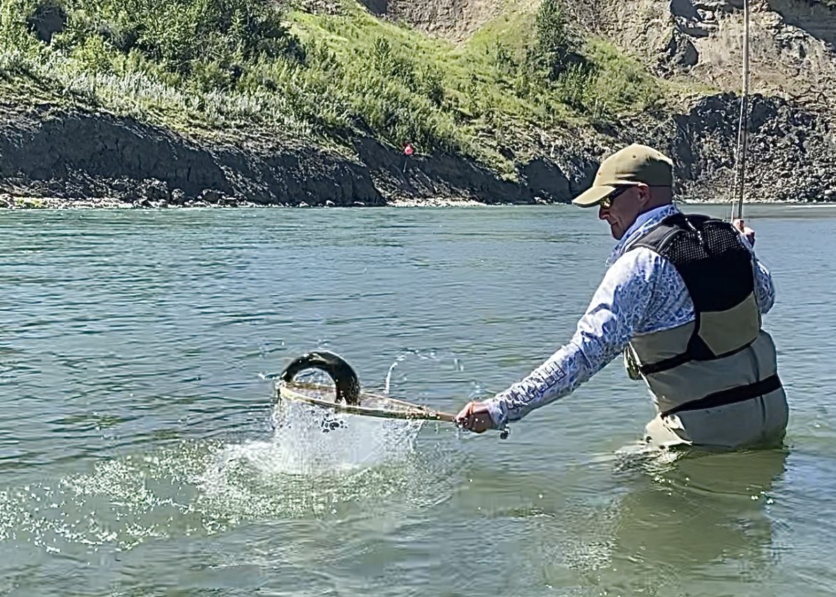 Mastering Freestone Streams: Top Spots to Drop Your Fly for Success ...