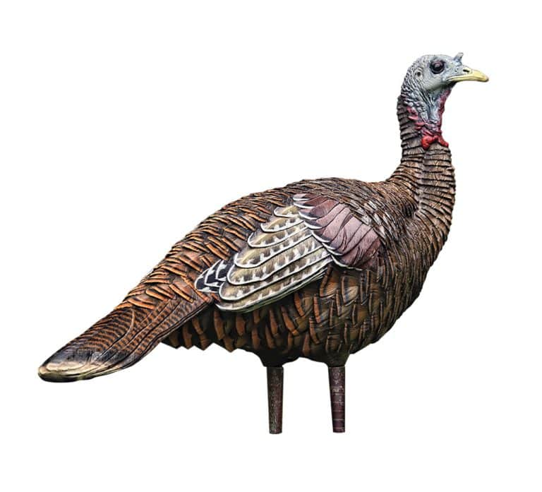 Ultimate Turkey Decoy Setup: Tips, Tactics, and Strategies for Spring ...
