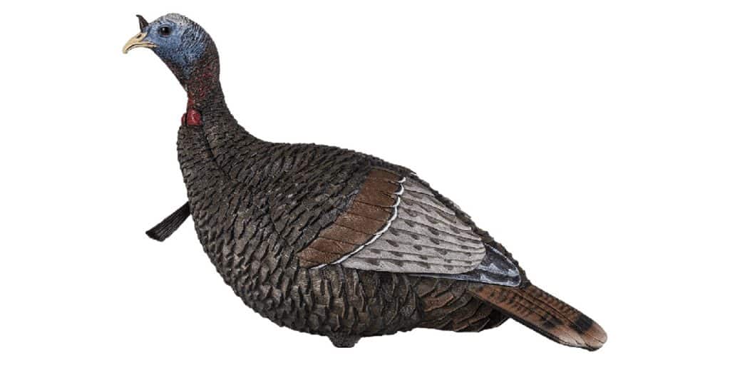 Ultimate Turkey Decoy Setup: Tips, Tactics, and Strategies for Spring ...