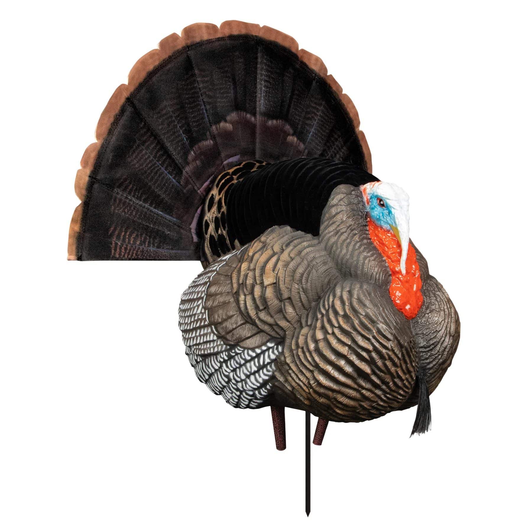 Ultimate Turkey Decoy Setup: Tips, Tactics, and Strategies for Spring ...