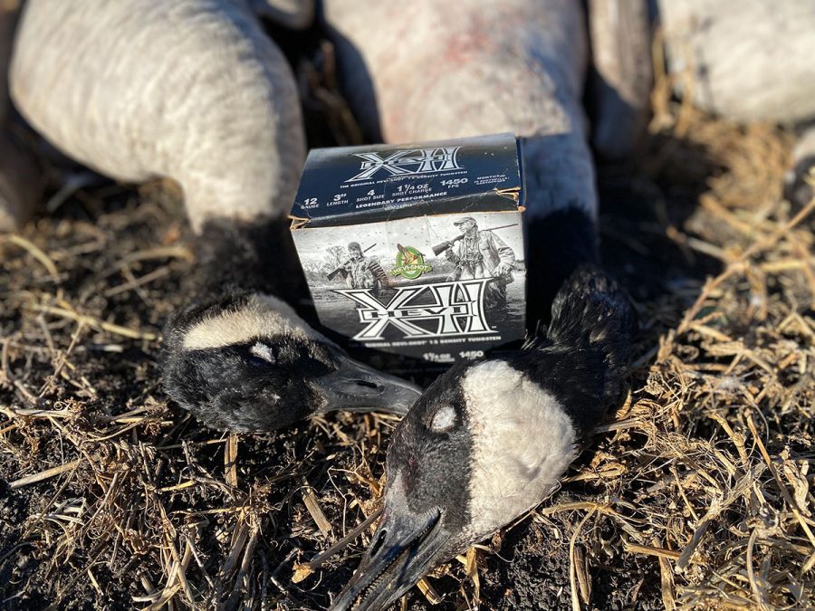 The Shell Game—Shotgun Shell that is - North American Outdoorsman