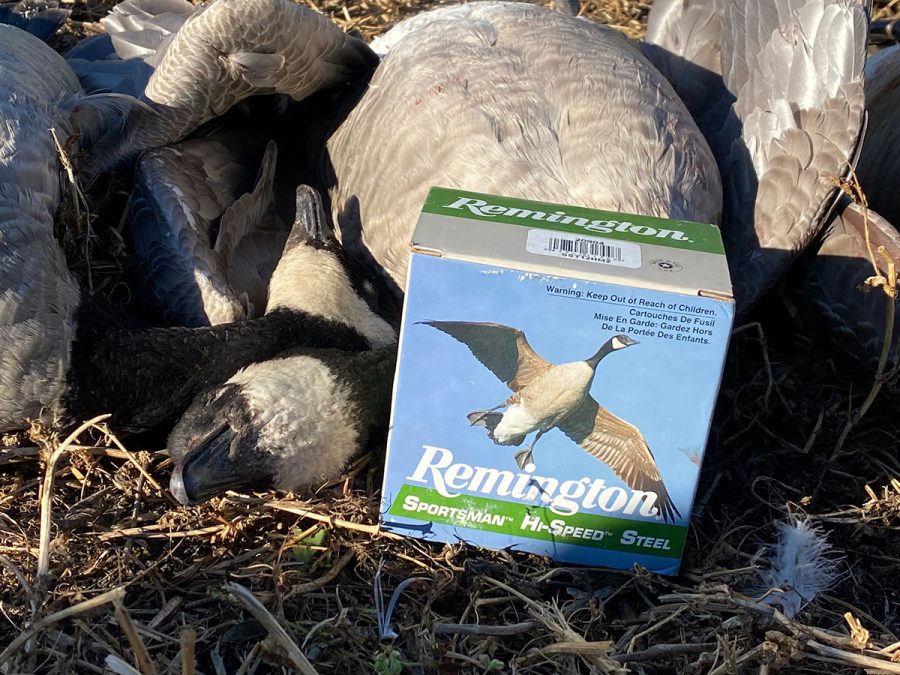 The Shell Game—Shotgun Shell that is - North American Outdoorsman
