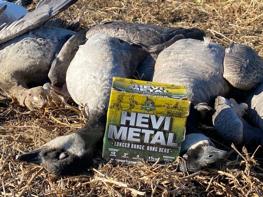 The Shell Game—Shotgun Shell that is - North American Outdoorsman