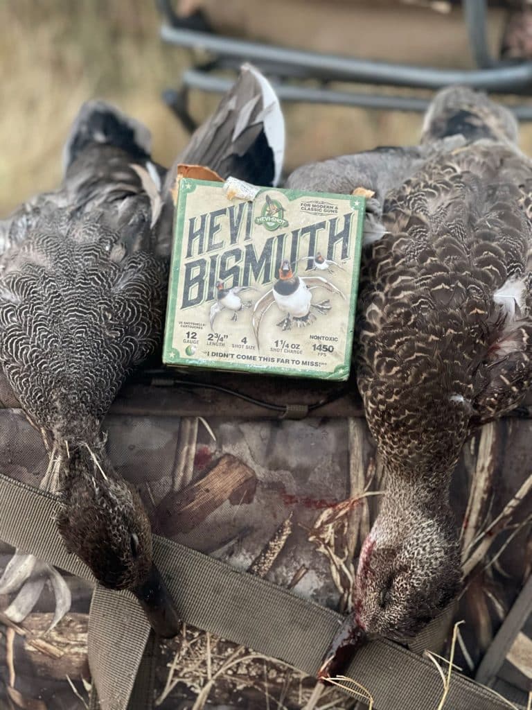 The Shell Game—Shotgun Shell that is - North American Outdoorsman