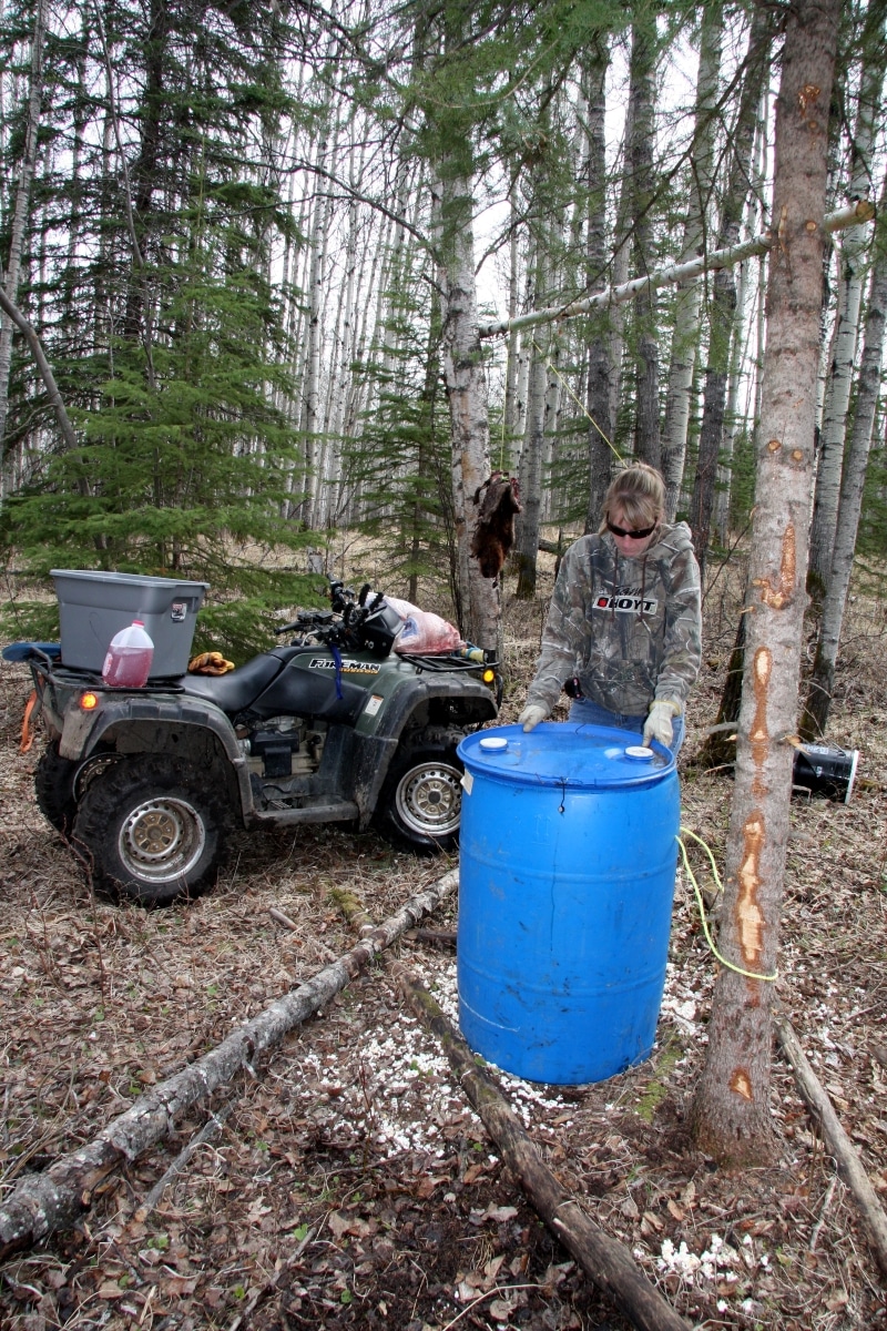 Bear Attack – What Should You Do? - North American Outdoorsman