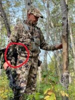 Bear Attack – What Should You Do? - North American Outdoorsman