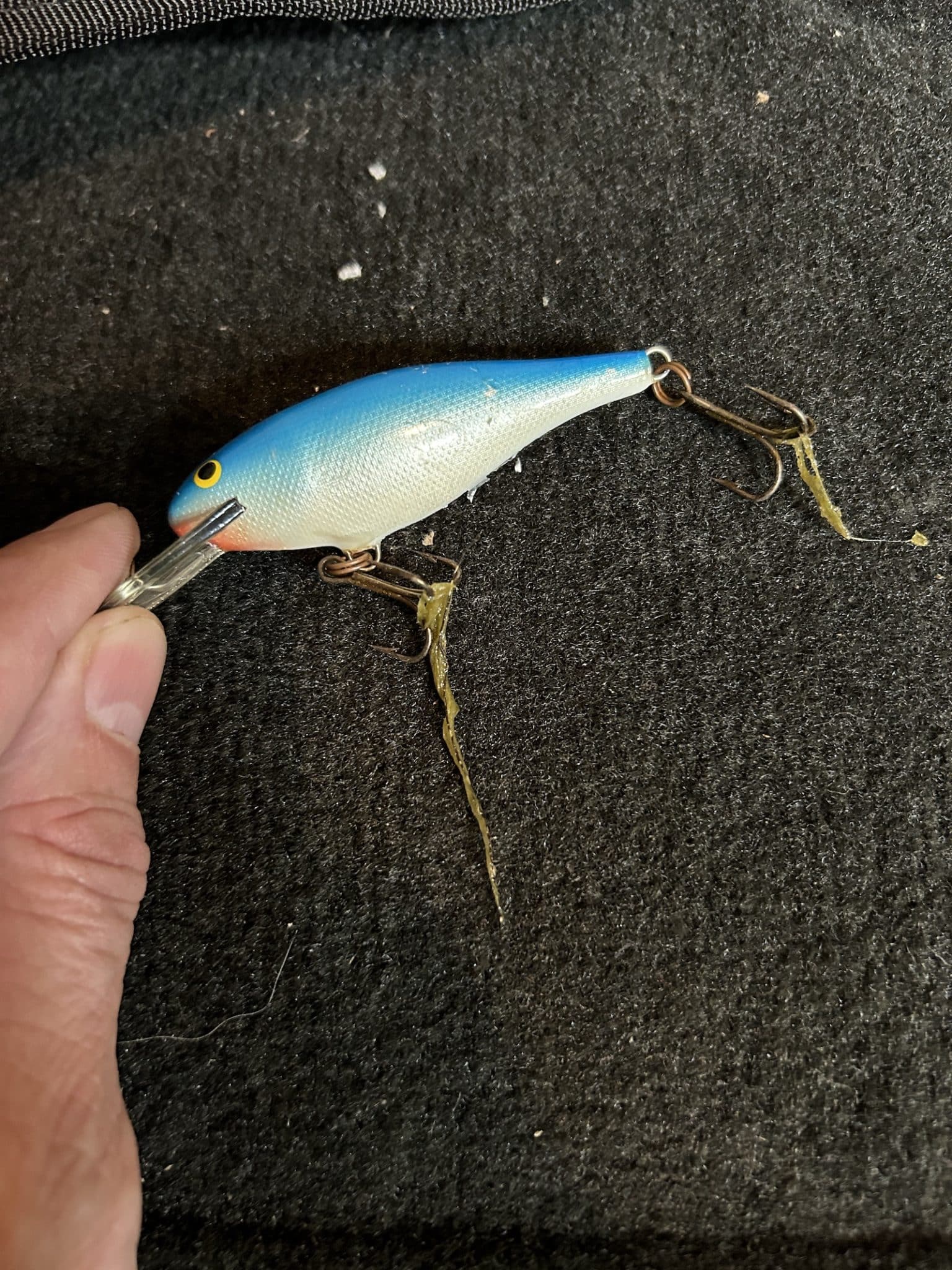 Think Green – Walleye Fishing In The Weeds - North American Outdoorsman