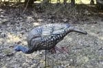 Tested & Reviewed: Best Turkey Motion Decoys of 2026 - North American ...