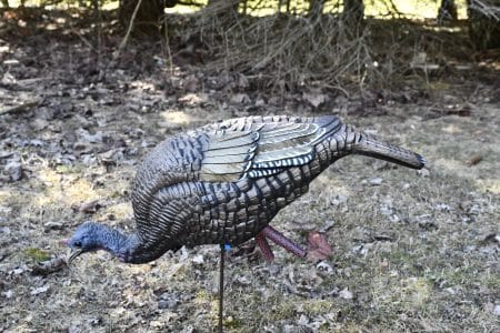 All About Turkey Motion Decoys - North American Outdoorsman