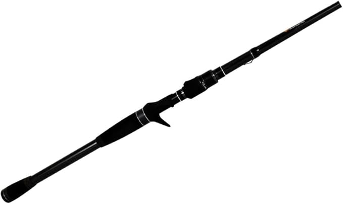 The 8 Best Bass Rods of 2025: Tested and Reviewed