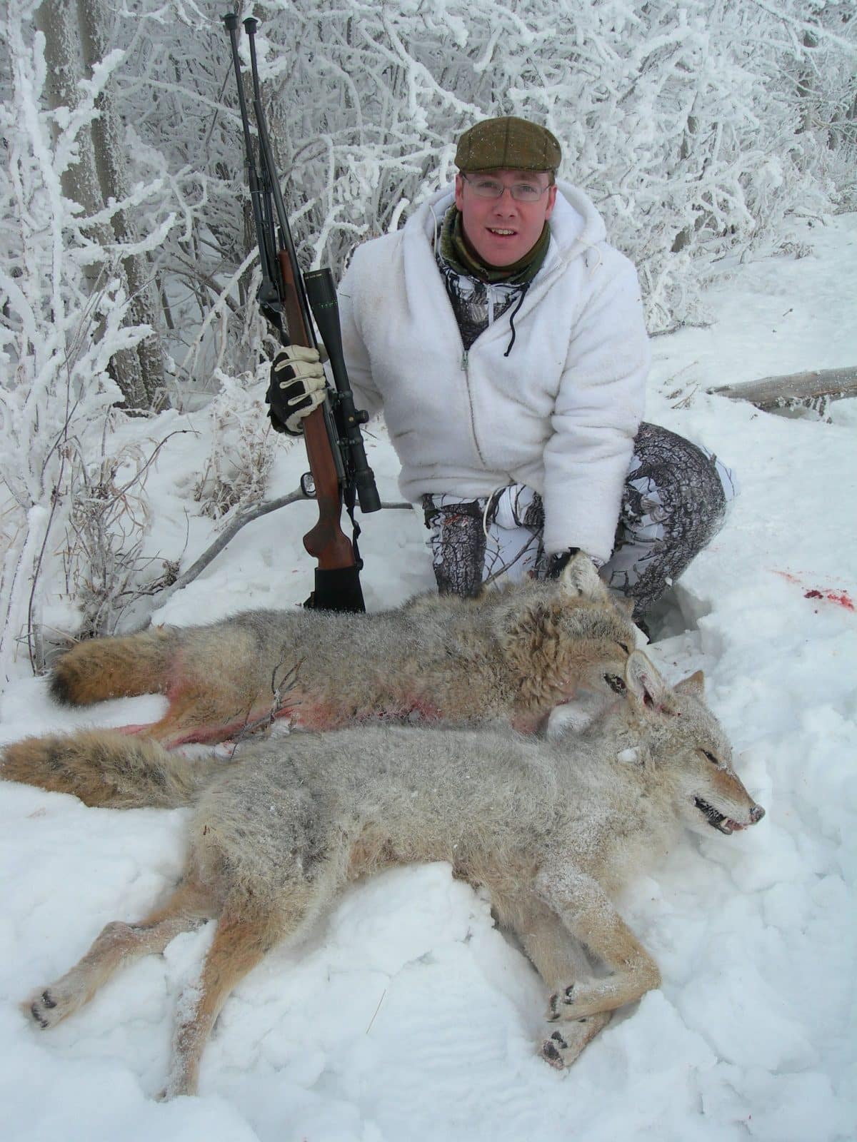 Best Coyote Hunting Calibers - North American Outdoorsman