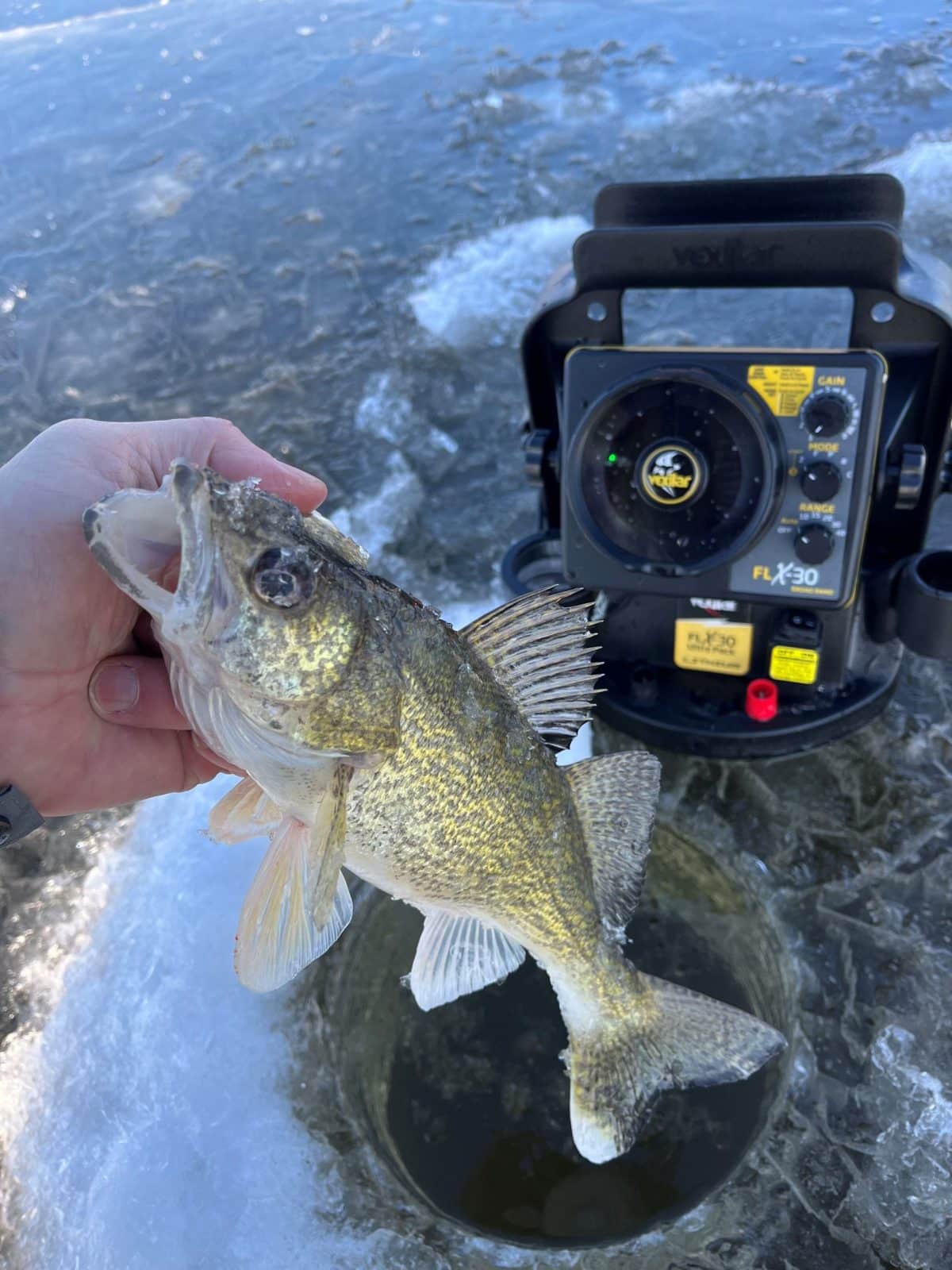 Tested & Reviewed: Best Ice Fishing Fish Finders - North American ...
