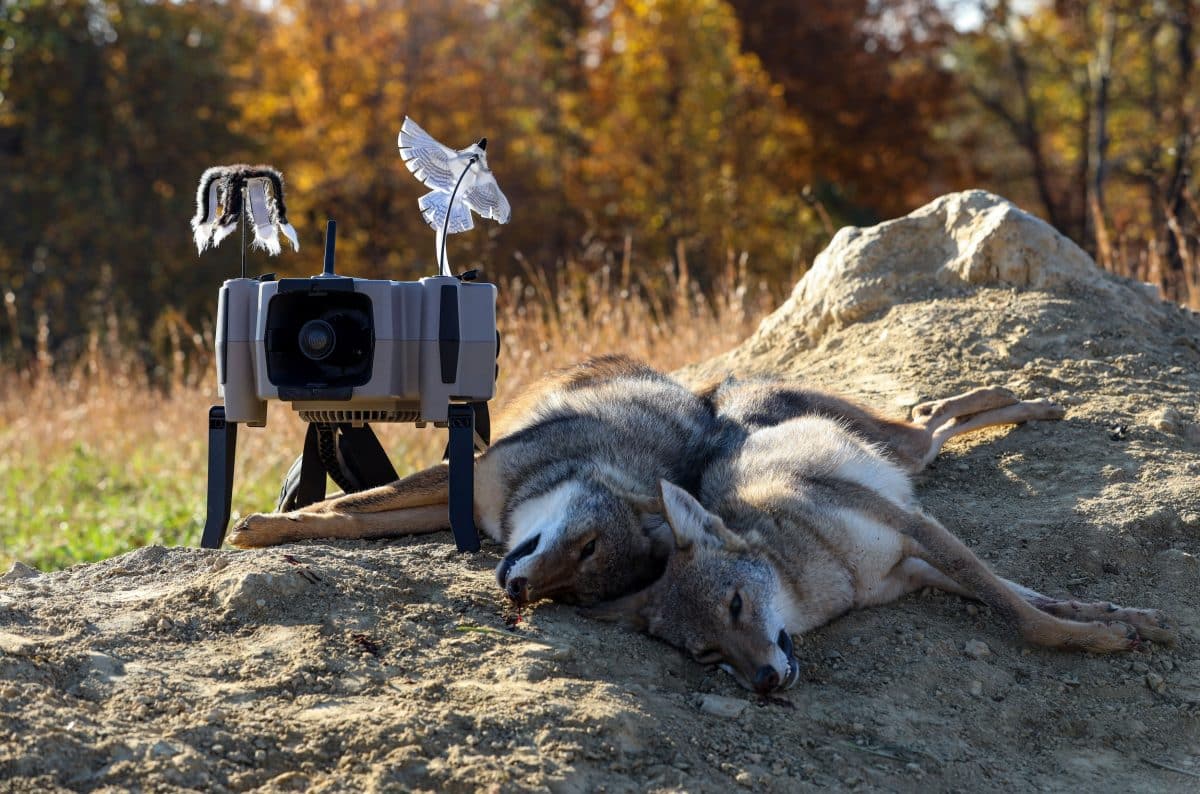 Tested & Reviewed: Best Coyote Calls - North American Outdoorsman
