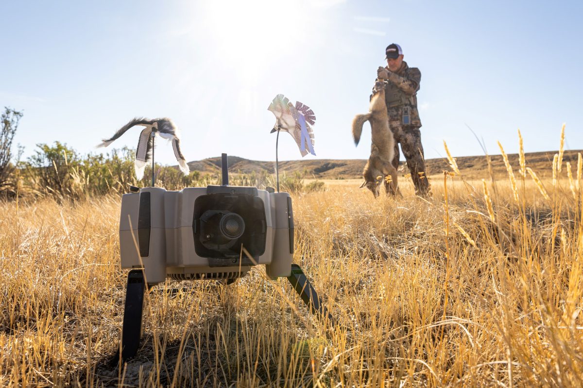 Tested & Reviewed: Best Coyote Calls - North American Outdoorsman